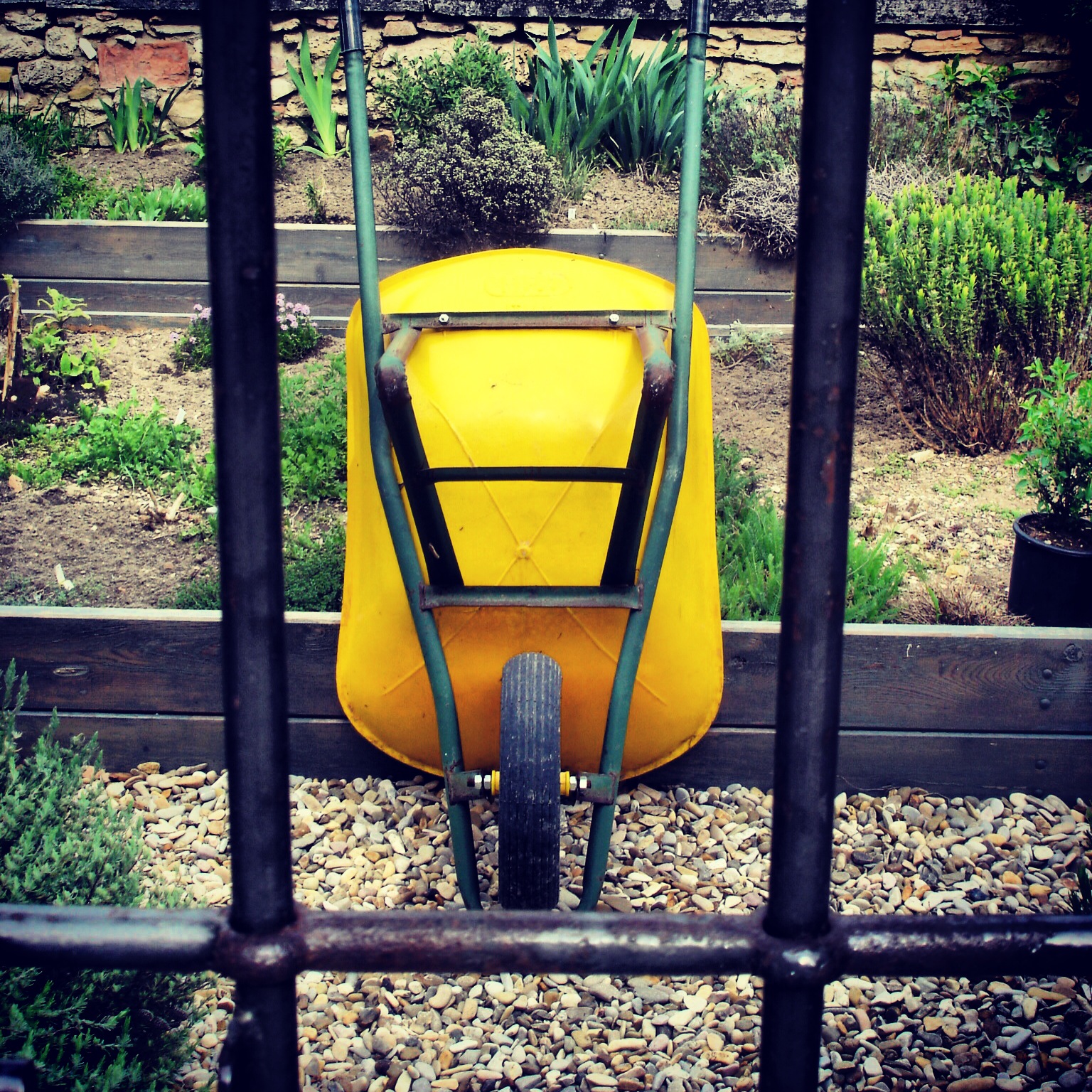 Žene kao robovi na nevidljivim sezonskim poslovima